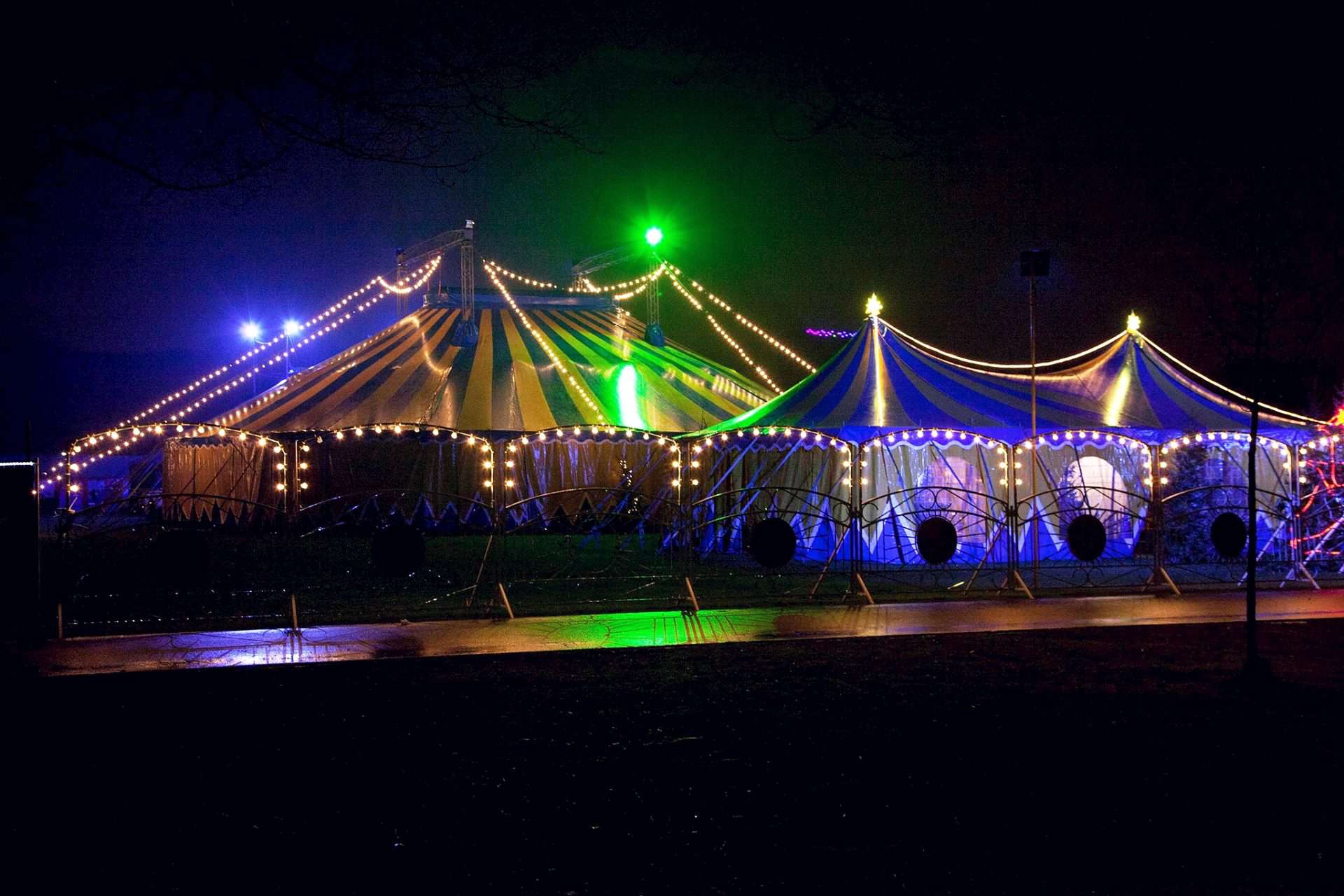 Olifant Buba mag bij circusfamilie Freiwald blijven - Circuspunt